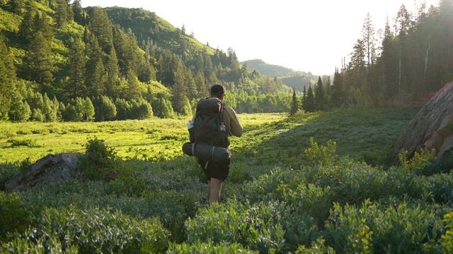 14087706_3840_2160_60fps