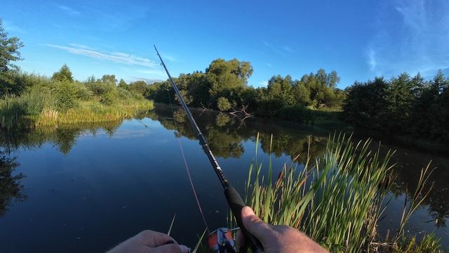 Спиннинг с берега и вся боль. Секретная локация подвела?