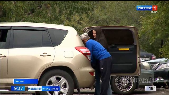 Электроннуг шынзылга