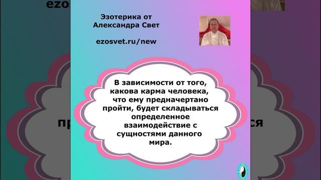 Александр Свет