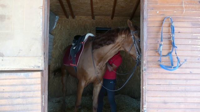 4774936-hd_1920_1080_30fps