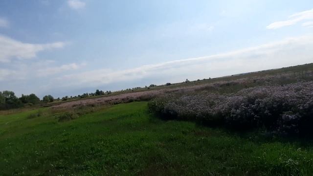 Островок счастья.😊