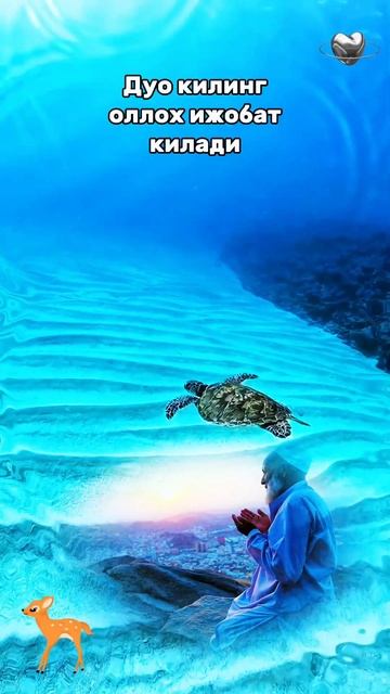 Дуо шарофати🤲🤲🤲