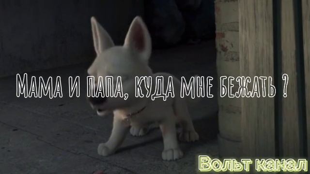 Вольт и Кенай клип в честь год канала!🤗💞