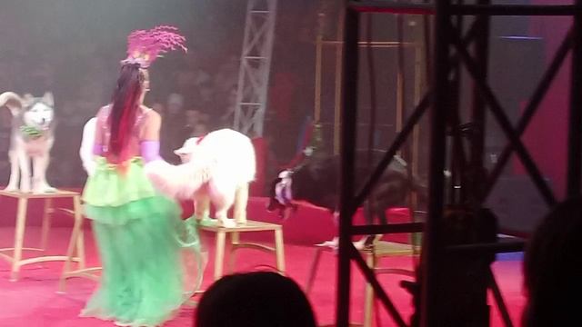 видео_20240630_125040