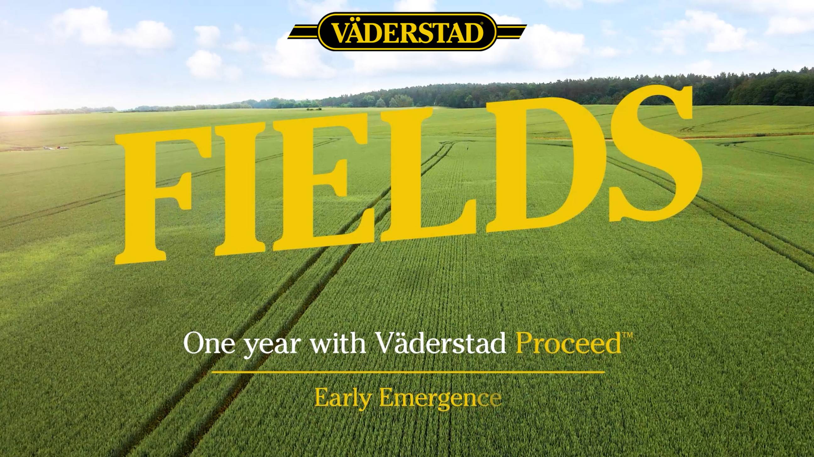 В полях. Один год с Väderstad Proceed: ранние всходы