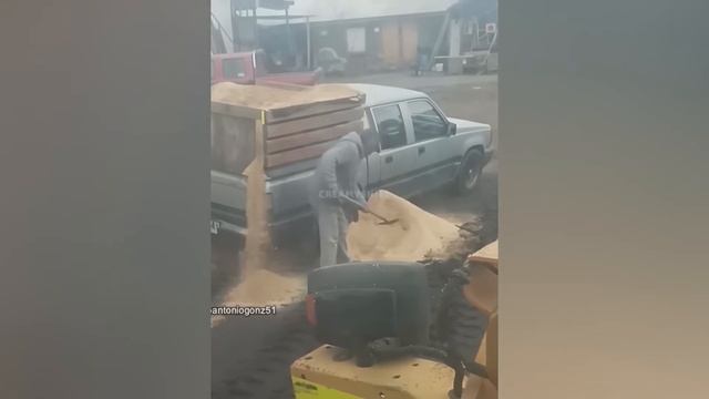 Подборка смешных видео #3 😂 🤣