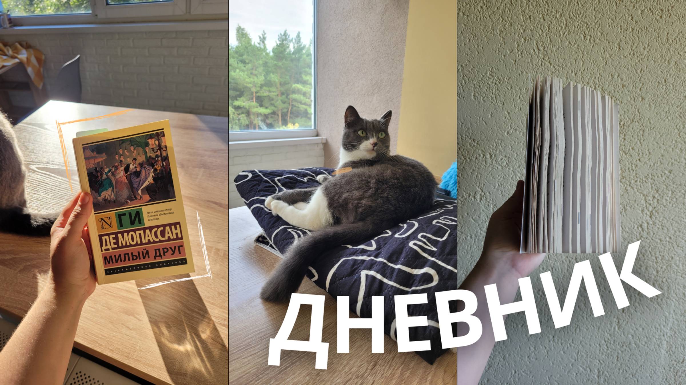 ЧУТЬ НЕ ВЫКИНУЛА В ОКНО 😡 Ги де Мопассан - Милый друг; горящий читательский дневник