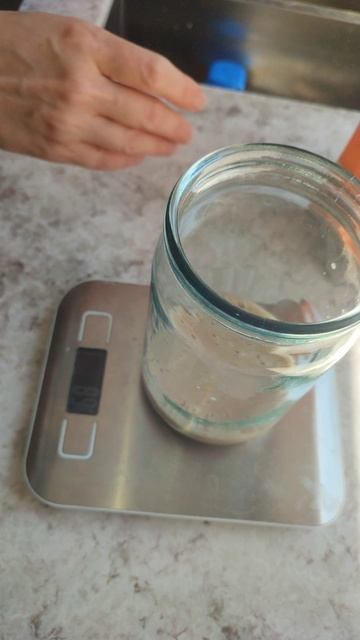 Челлендж по выведению закваски. день третий