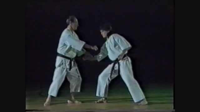 ДУХ САМУРАЯ. БОЕВЫЕ ИСКУССТВА ЯПОНИИ И ОКИНАВЫ