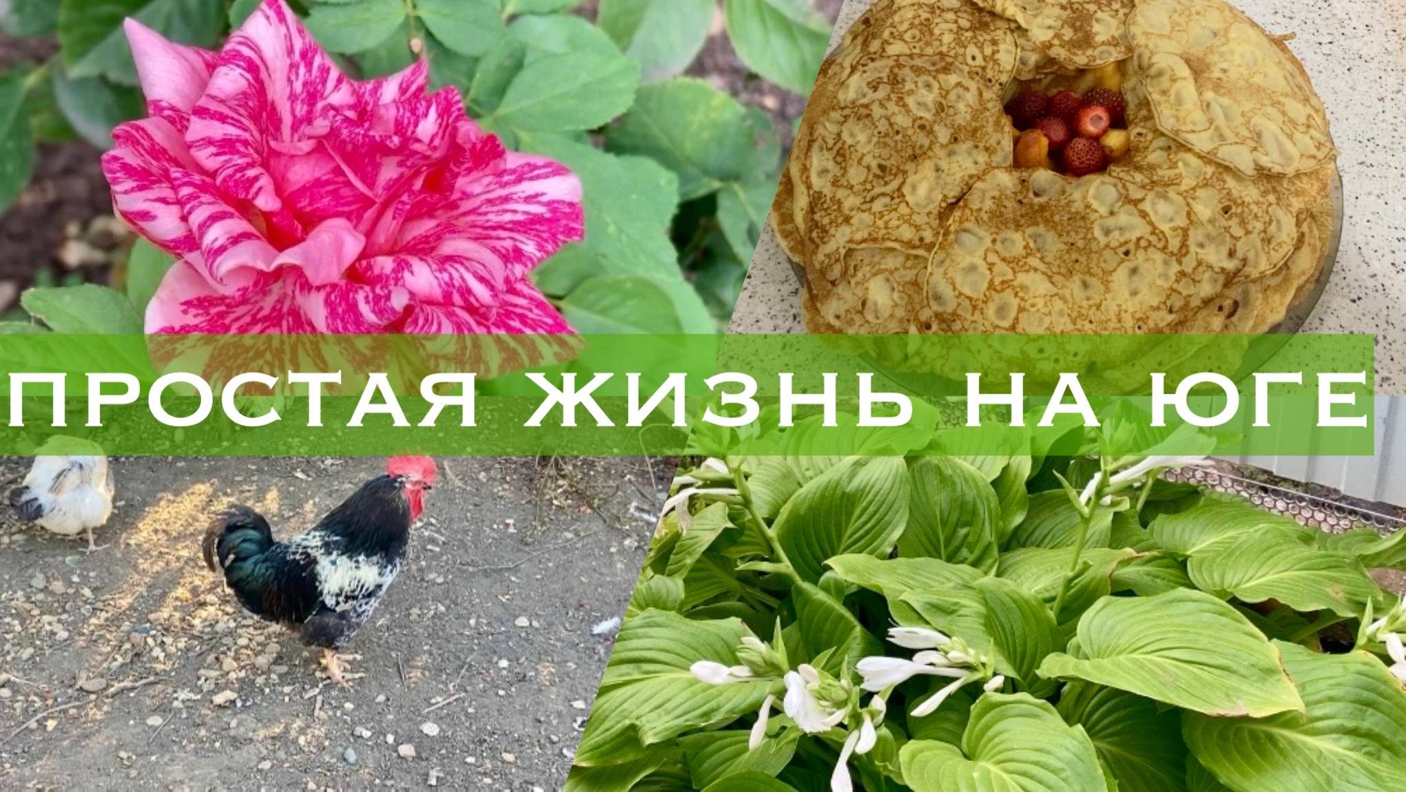 Жизнь в Адыгее/ Дело сделано /Второй урожай /Каждый блин комом/ Решение найдено/