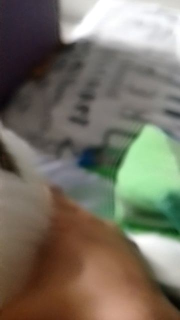 нашёл постельного клопа