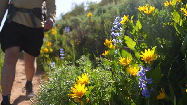 14087718_3840_2160_60fps