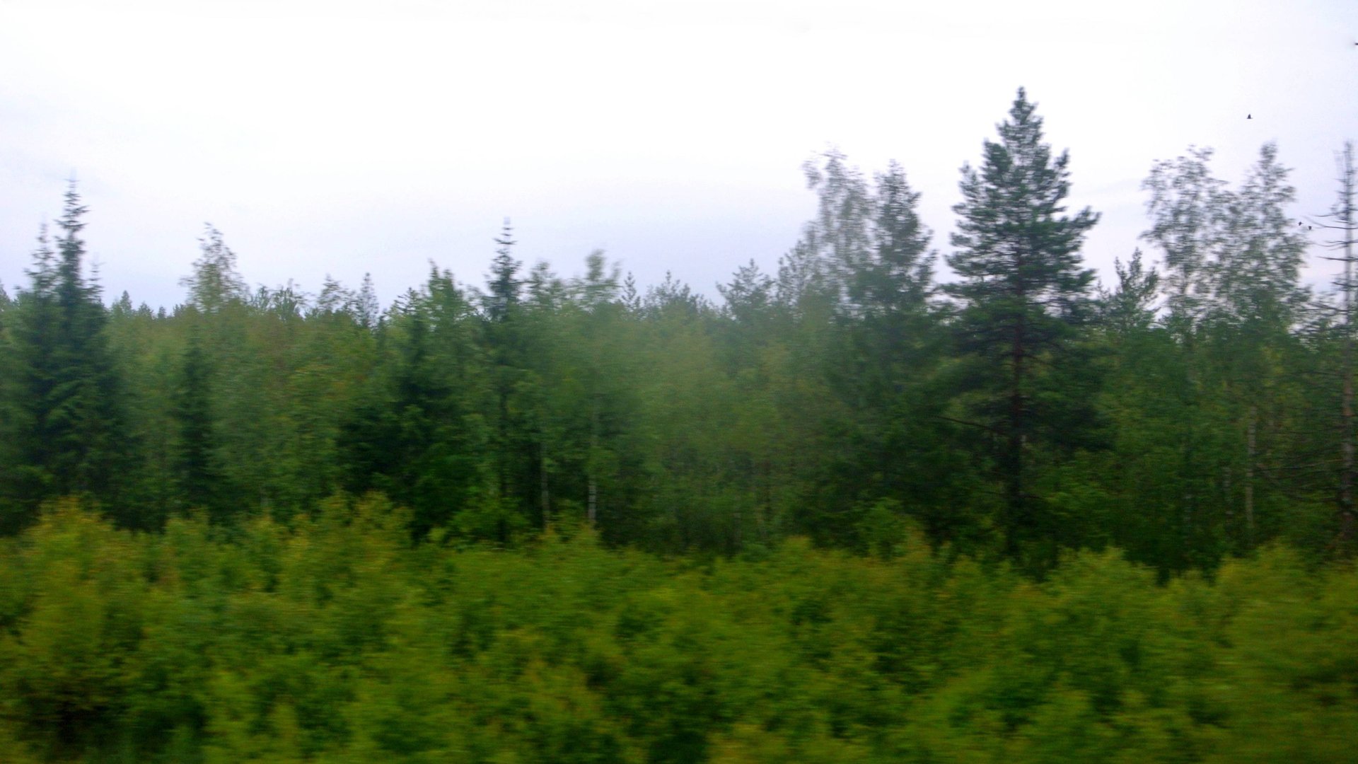 ПОЧТИ РОКМУЗЫКА