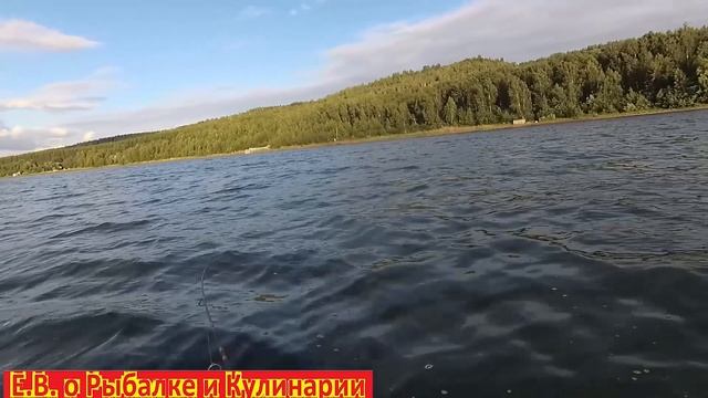 ЕСЛИ БЫ Я ЗНАЛ ЧТО ТАКИЕ БОЛЬШИЕ ОКУНИ БУДУТ КЛЕВАТЬ, ТАК НАМОТАЛ ПЛЕТЕНКУ ПОТОЛЩЕ.