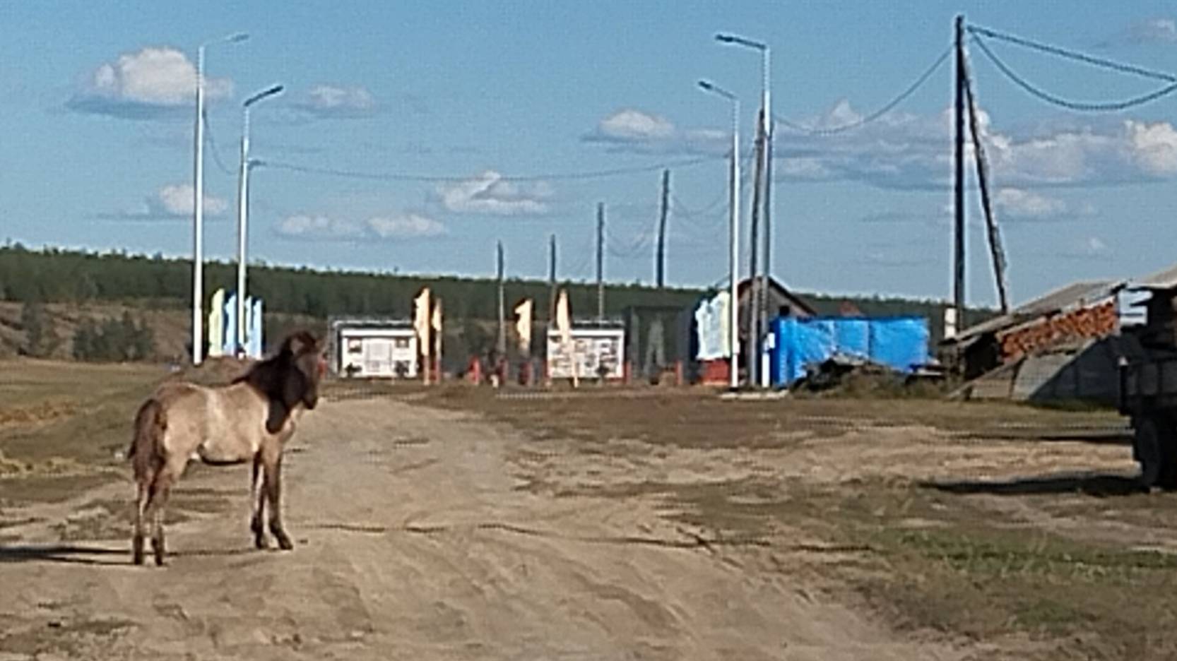 Прогулка в тишине. Восточная окраина с.Борогонцы, сквер Отца.