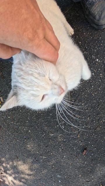 ЛЮДОЕДУШКА