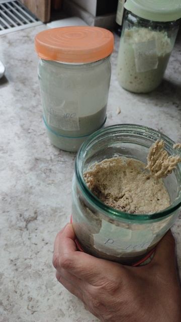 Закваски рвутся на волю! день шестой выведения