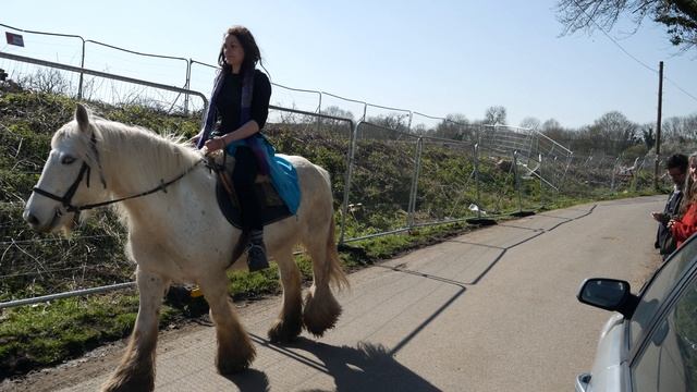 4032084-uhd_3840_2160_25fps