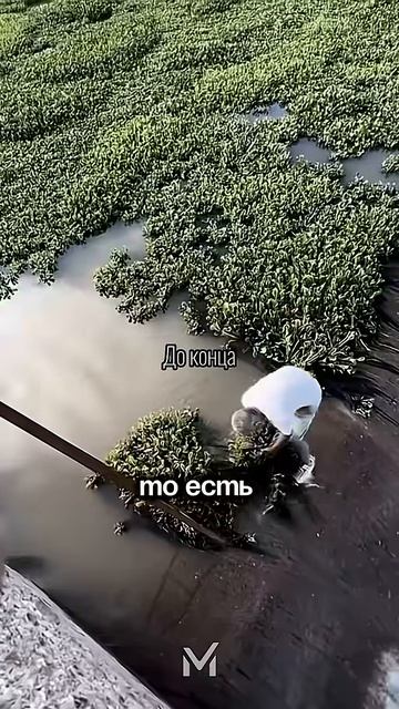 Почему нельзя останавливаться, когда сложно? Смотреть!