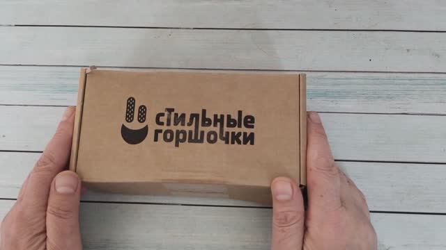 Распаковка набора семян литопсов от "Стильных горшочков"