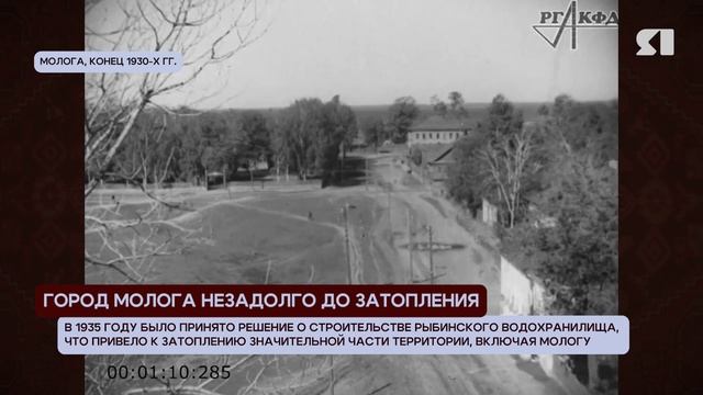 ЯНОСТАЛЬГИЯ. МОЛОГА