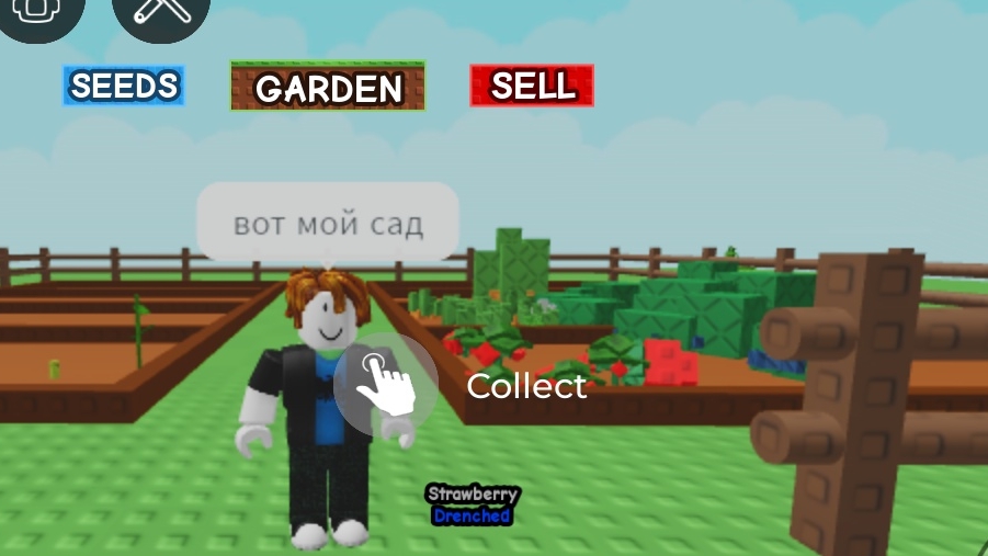 первый раз зашёл в вырасти сад