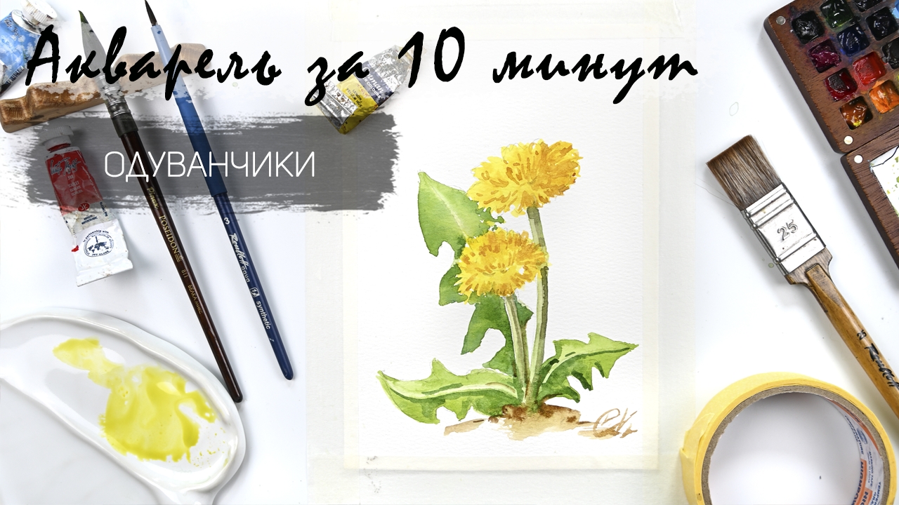 Рисуем одуванчики акварелью за 15 минут. Быстрые зарисовки. Акварель для новичков