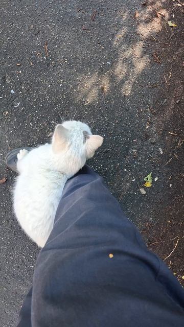 ЛЮДОЕД АТАКУЕТ