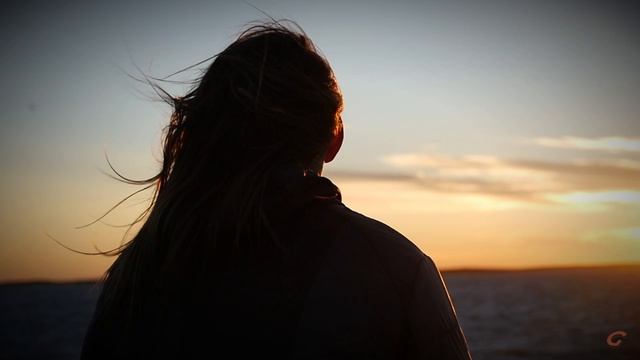 Бумажная птица