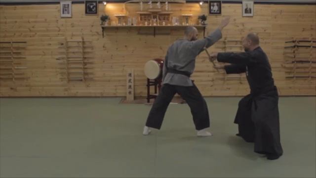 ХАНДО-ДЗЮЦУ. ТЕХНИКА САКА-ОТОСИ