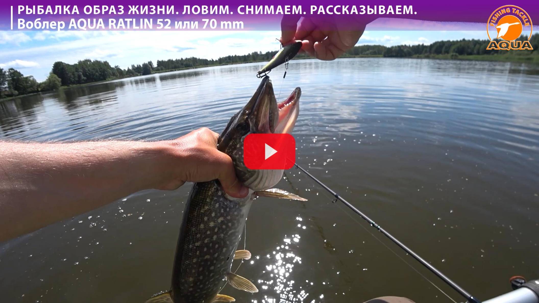🎣🐟 Щука, окунь, судак — все в сети! Обзор супер-воблера AQUA RATLIN