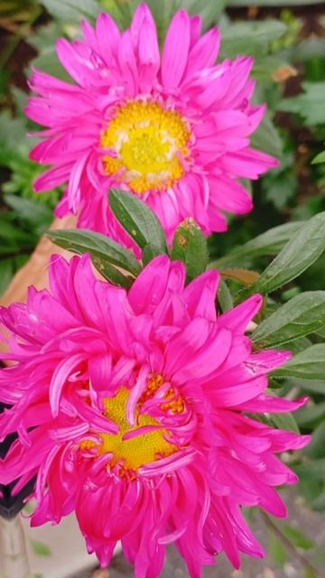 Осень скоро..