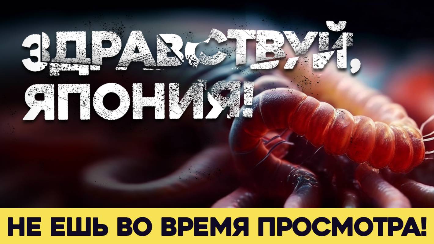 ЗДРАВСТВУЙ, ЯПОНИЯ Армейские Байки #66