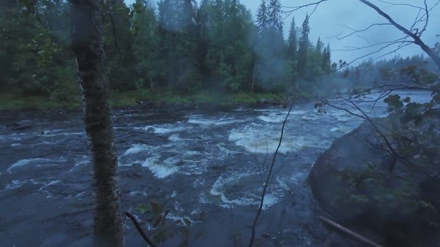 Река Кереть ( правый берег ) 25.08.25