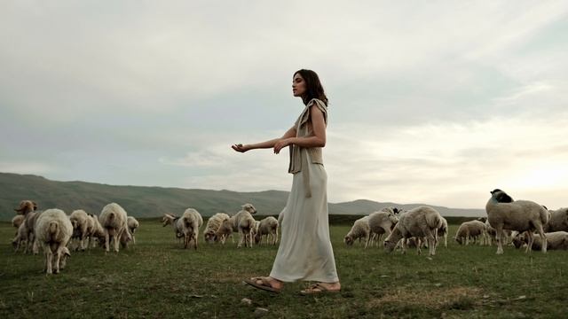 9906582-uhd_4096_2160_25fps