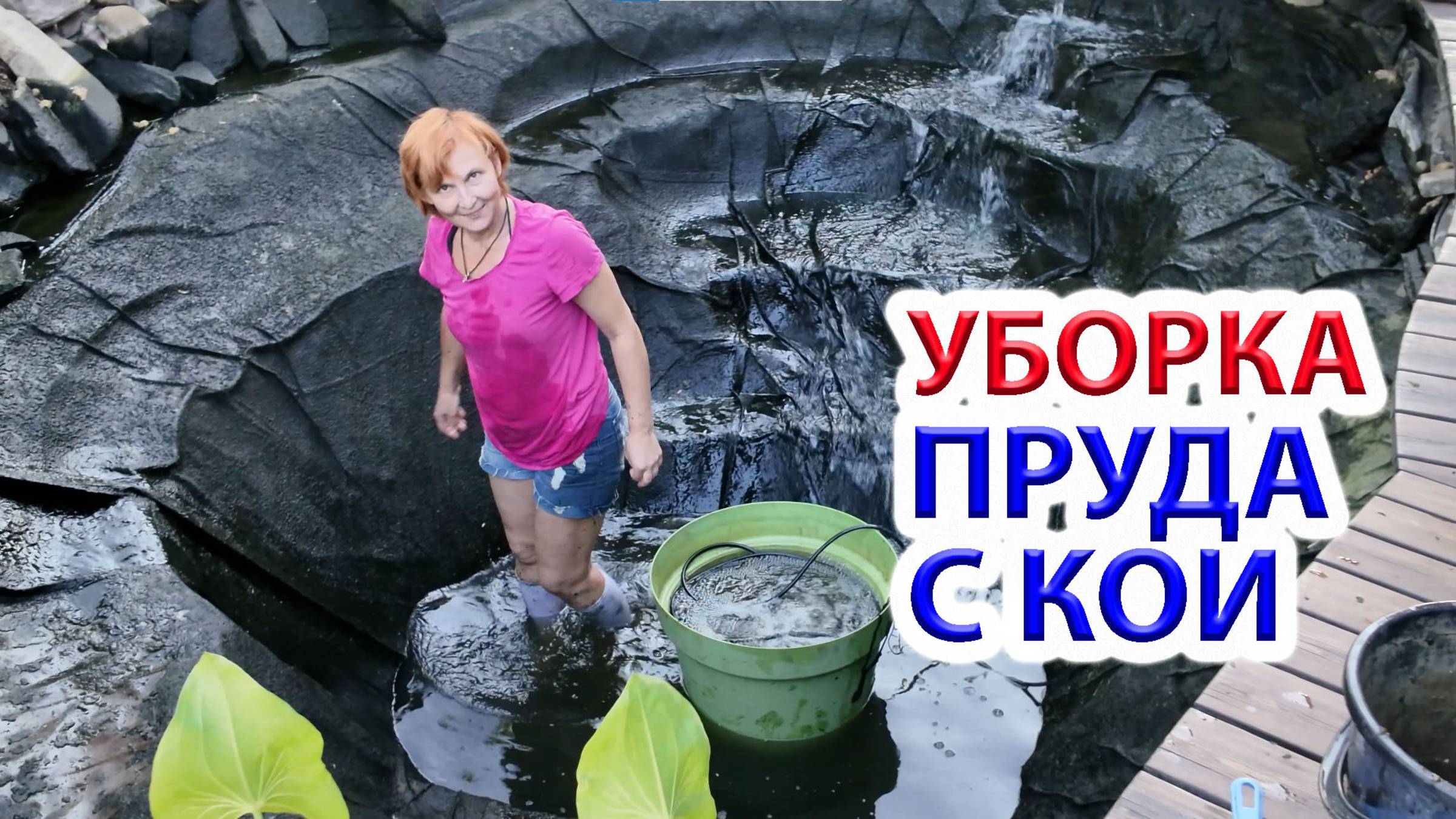 Большая уборка пруда с карпами КОИ перед зимой