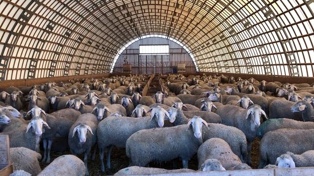 12030229_1920_1080_30fps