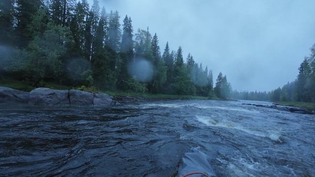 Белый Клык - Чёрное ухо ( Карелия , р. Кереть ) 25.08.25