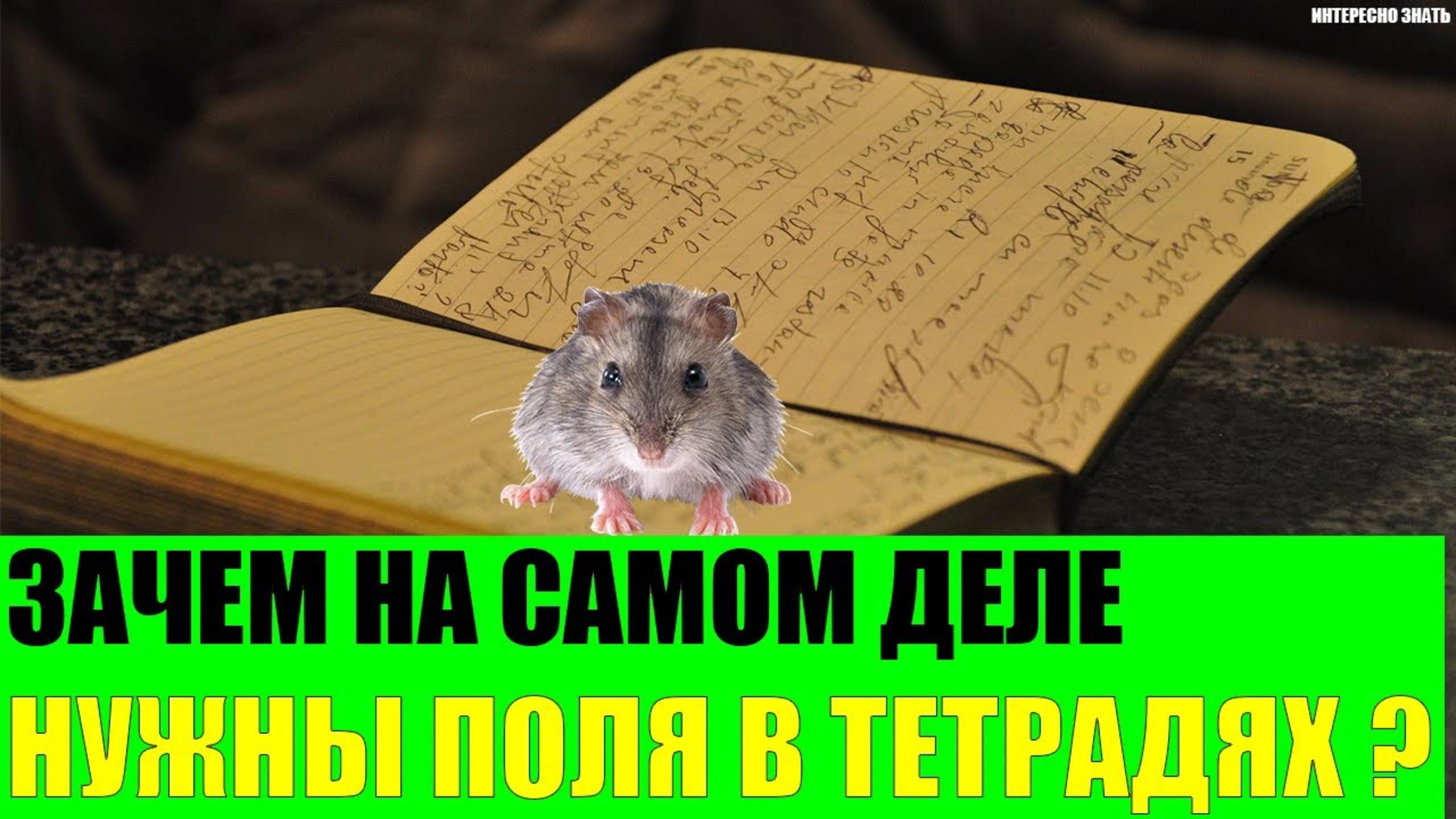 Зачем на самом деле нужны поля в тетрадях?