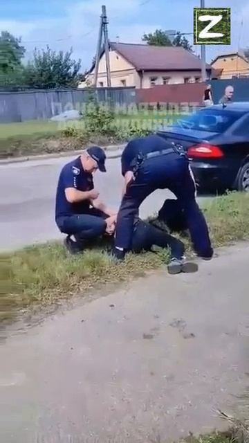 ТЦК Борьба на выживание