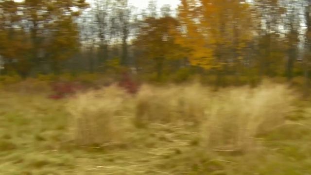 OK Go - This Too Shall Pass - Official Video