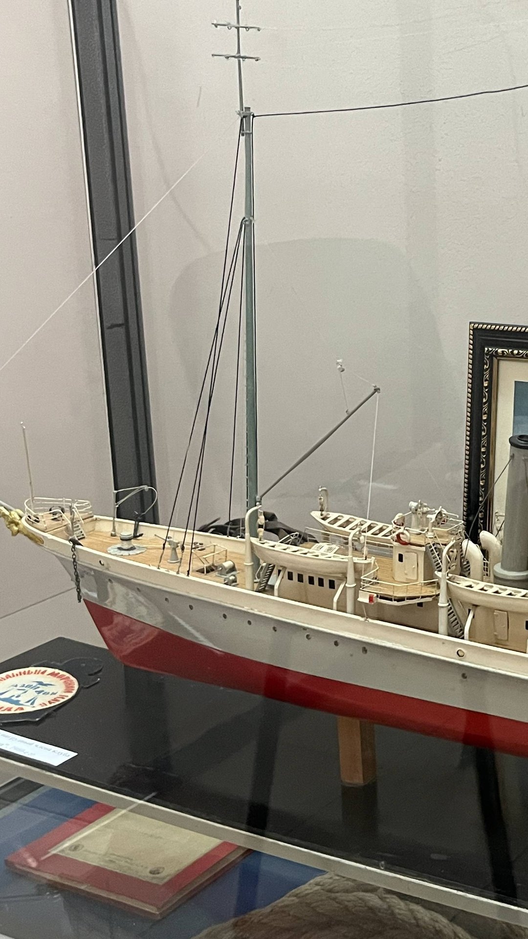 Донская Аврора