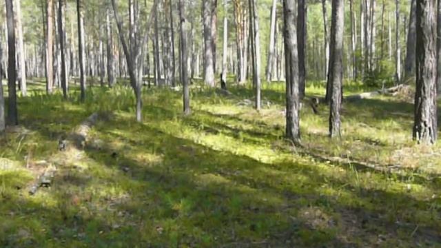 Неочевидные признаки ориентирования. 03 Экспозиция