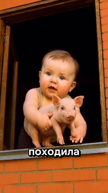 Сваты малыши