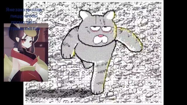 странные коты