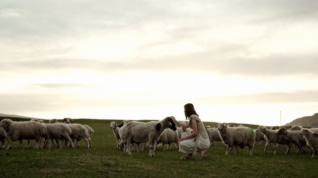 9906576-uhd_4096_2160_25fps