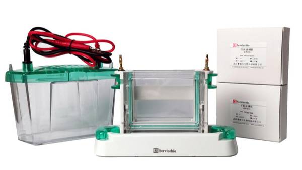 Камера для вертикального электрофореза SVE-2, 2 геля, 83х73 мм, Servicebio