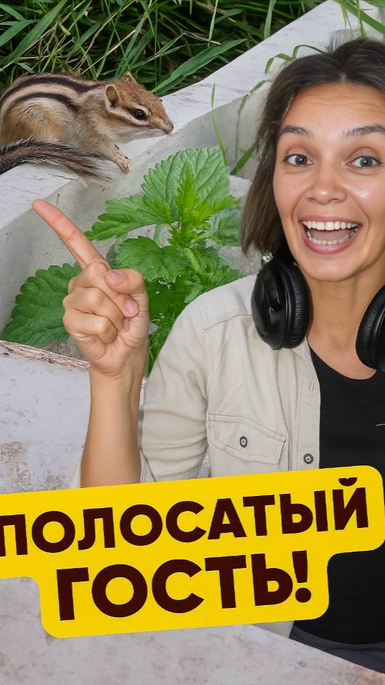 Реально пришел! Бурундук! #бурундук #животные #деревня #шортс