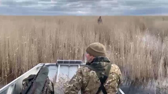 Аэролодка Нерпа 341Б Некст Люкс видео покупателя. Новосибирская область
